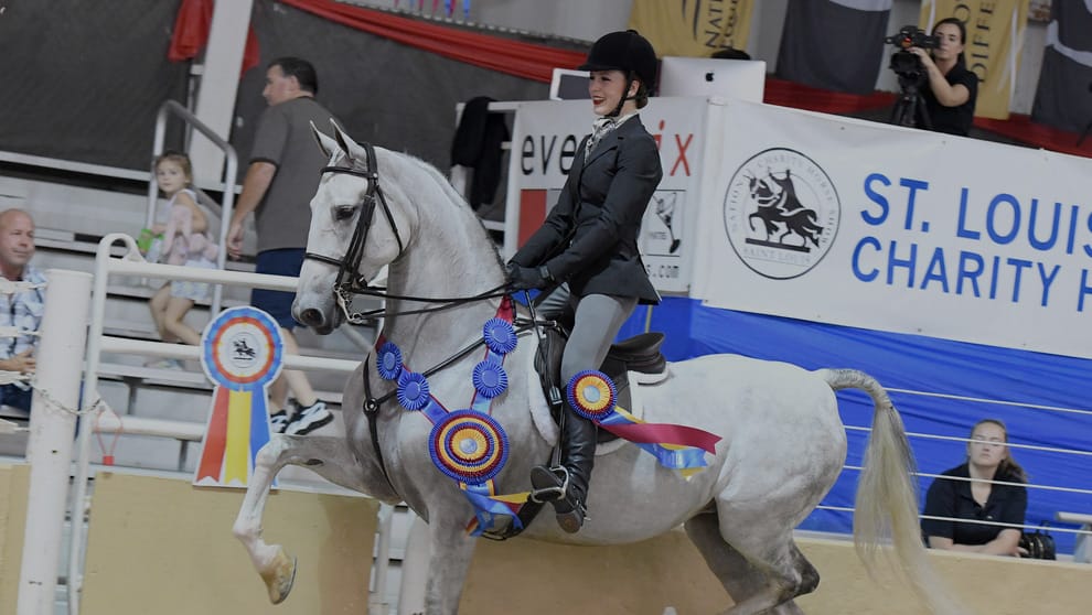 Saddlebred Schedule St Louis Charity Horse Show Saddlebred Schedule St Louis Charity Horse Show